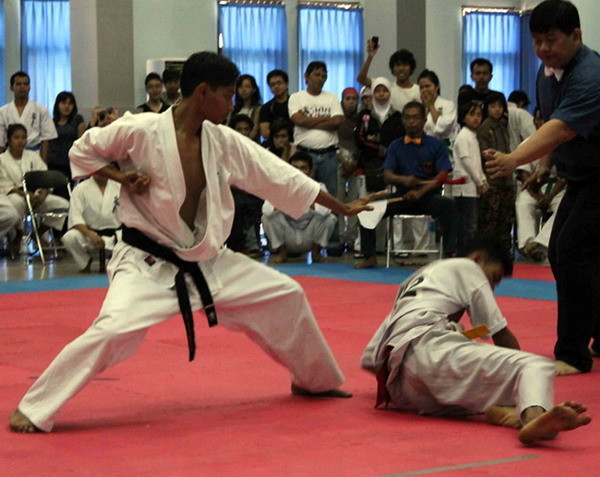 The 17th All Indonesian Shinkyokushin Karate Championship, the 31st ...