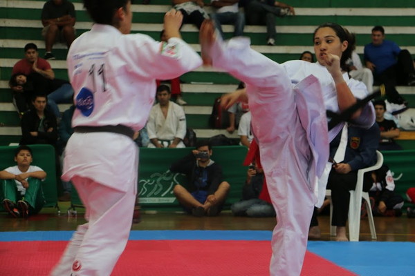 The 7th South American Championship | World Karate Organization ...