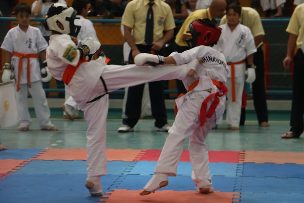 The 19th Brazilian Championship Karate Shinkyokushin | World Karate ...