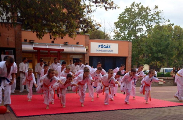Hungary Karmazin Branch Karate Demonstration & Photo Exhibition | World ...