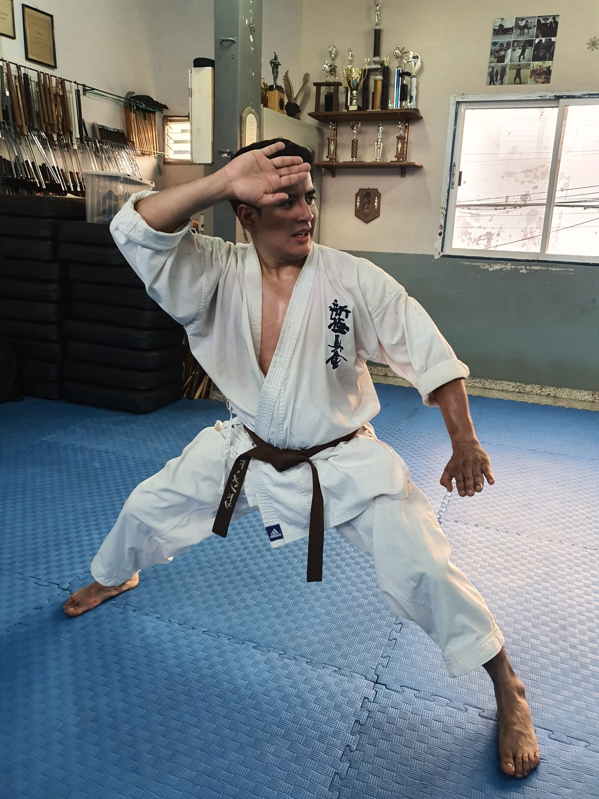 Honduras Branch Dan Examination | World Karate Organization official site